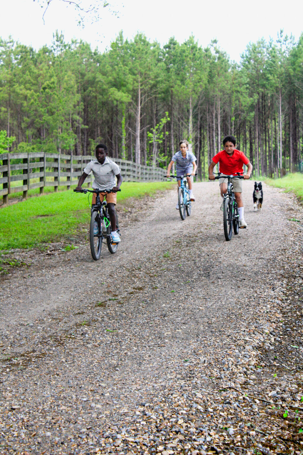 Explore the Backroads of West Feliciana Parish - Visit St. Francisville
